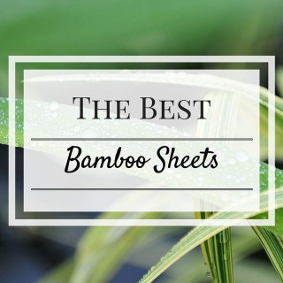 The 4 Best Organic Wool Comforters For an Eco-Friendly Sleep